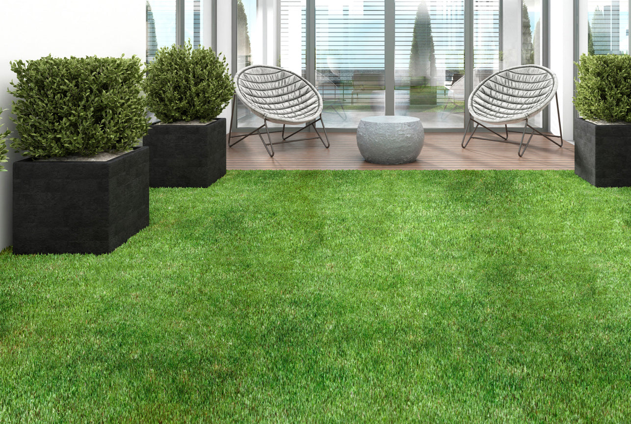 Shop Artificial Grass Online | Same Day Delivery | Aloro Group